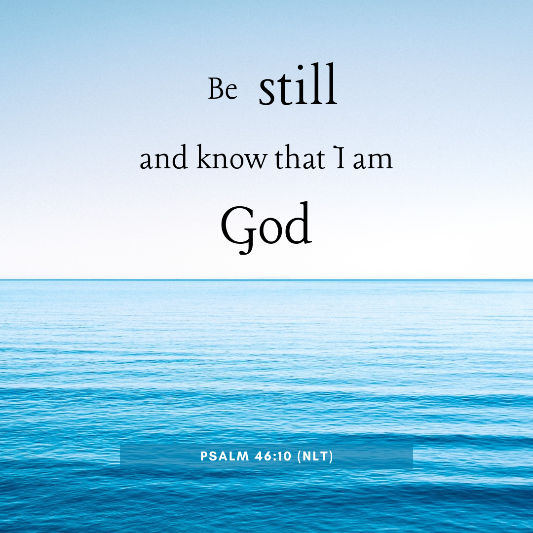 The Value of Being Still - Author Rebecca Yauger